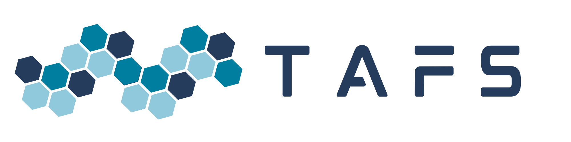 TAFS – Time Series Analysis and Forecasting Society